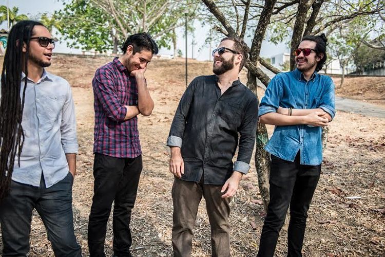 limpiacabezales-cusica-plus | CusicaPlus